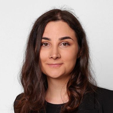 People – Scene Representation Group